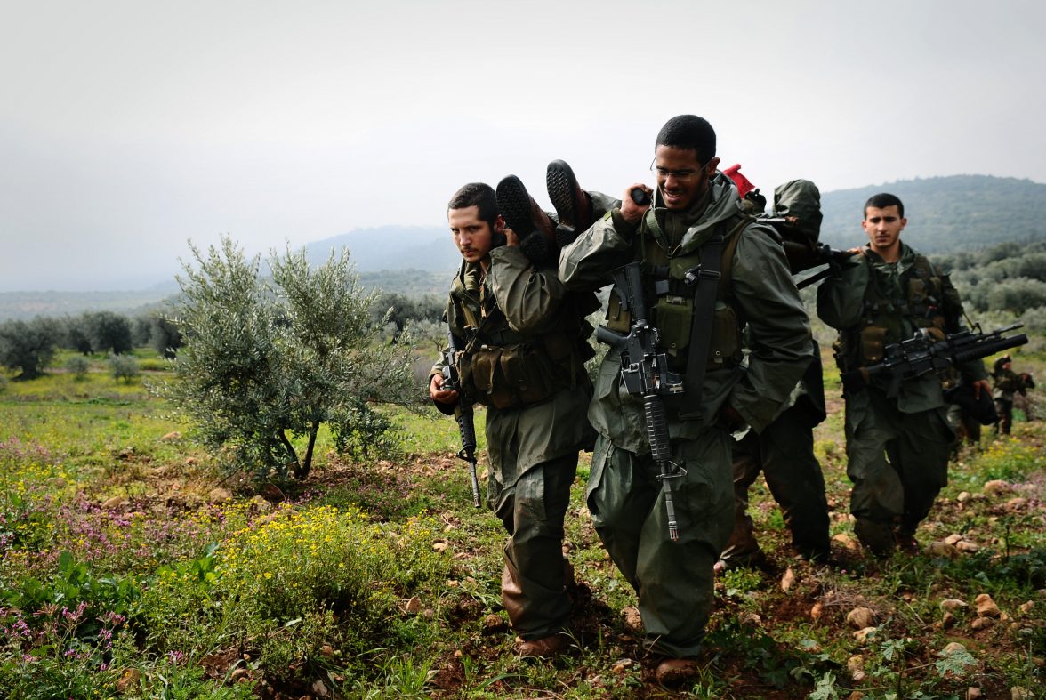 The Greenest Army in the World by Ziv Genesove