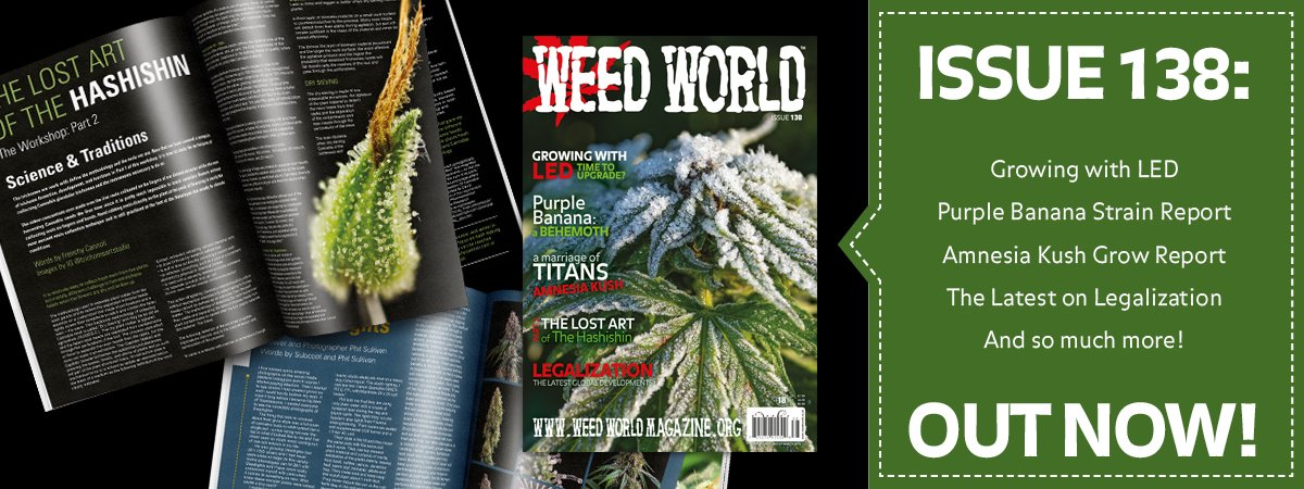 Weed World Magazine for medicinal marijuana patients & growers